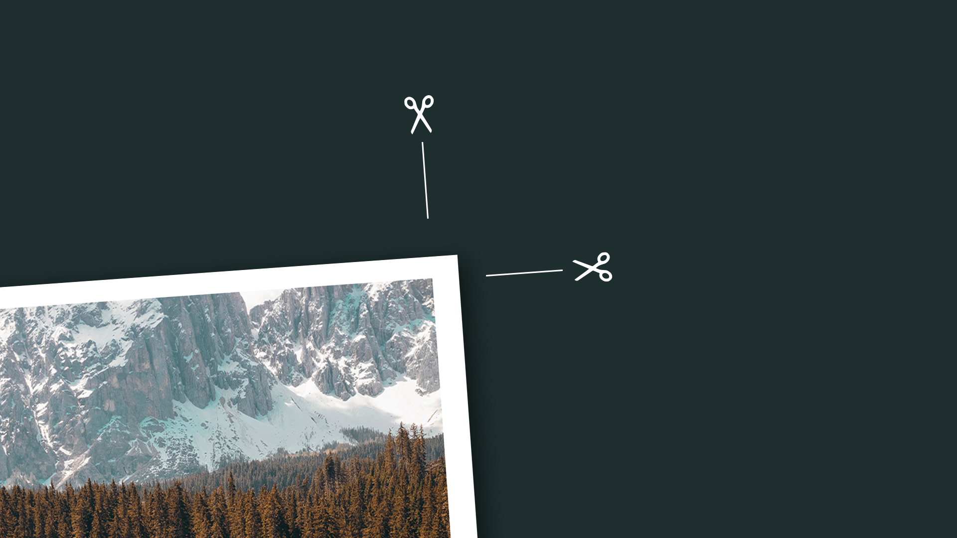 Packaging Glossary of Jargon: Design and Printing Terms | Forty8Creates ...